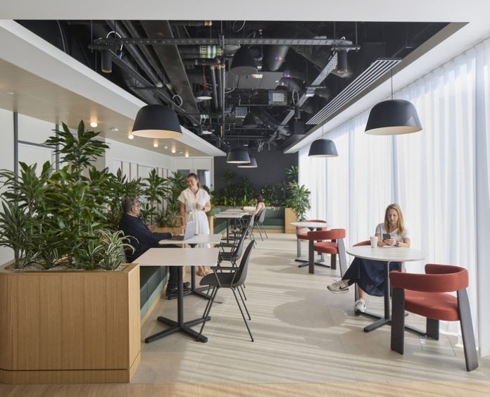 New Grant Thornton corporate headquarters sets the bar for circular and ...